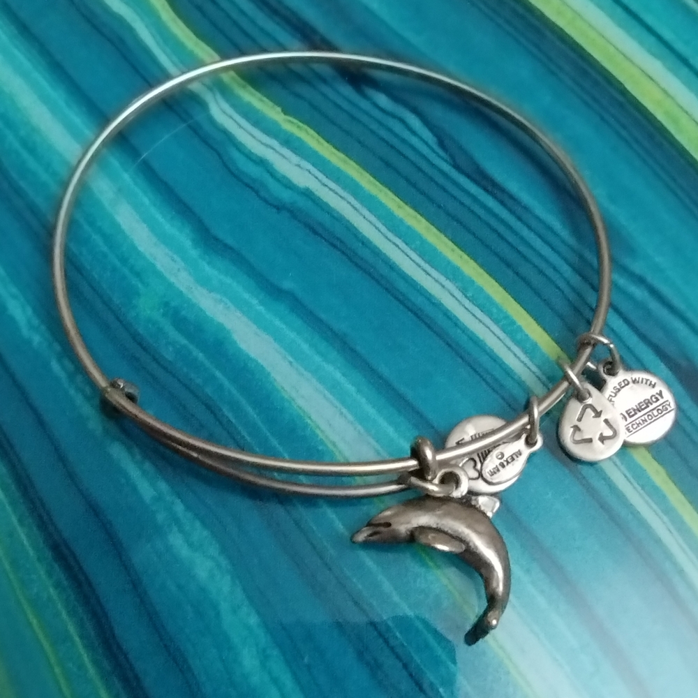 Alex And Ani Dolphin Bracelet - Gem